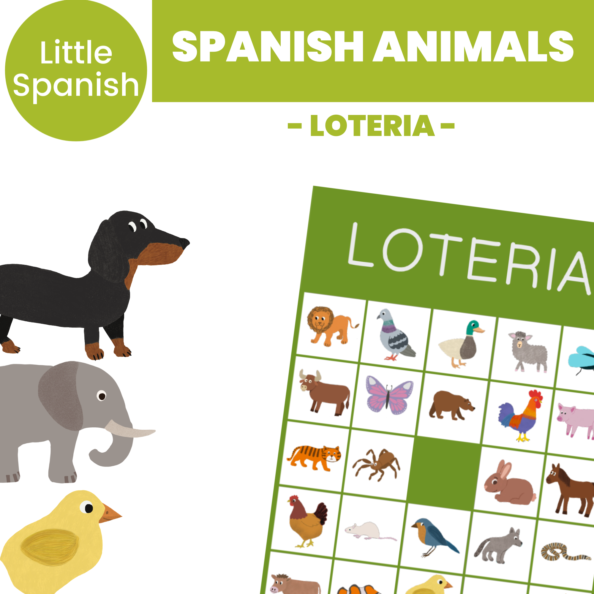 List of animals in spanish - Little Spanish